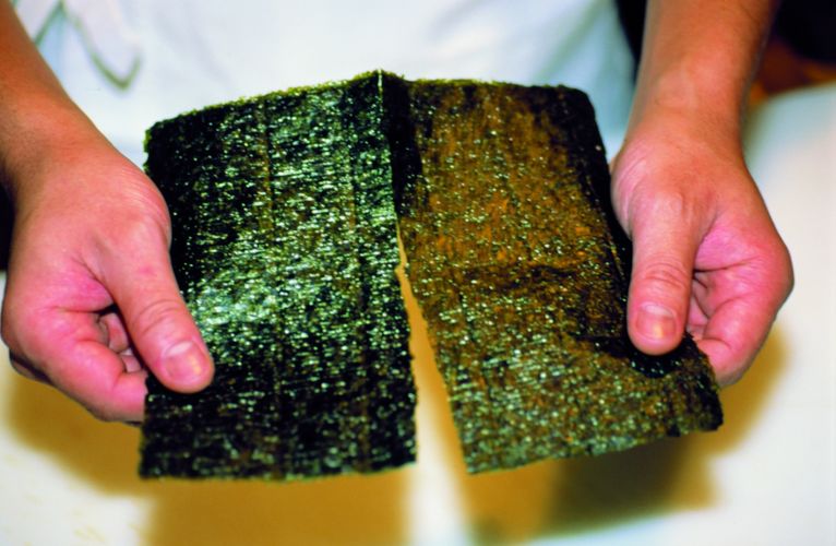 Aprenda a receita de temaki califórnia - Made in Japan